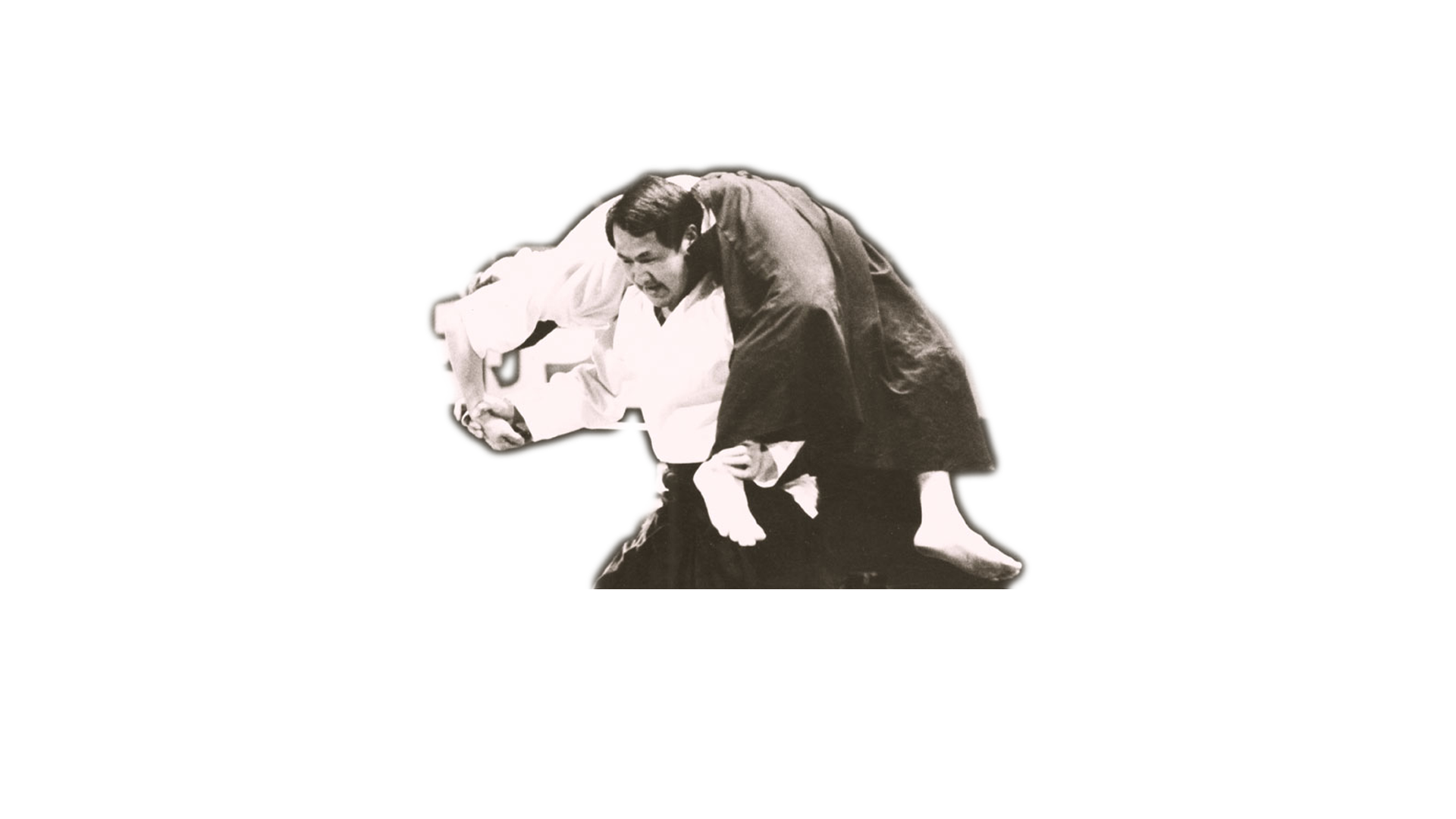 Daito Ryu Aiki Jujutsu